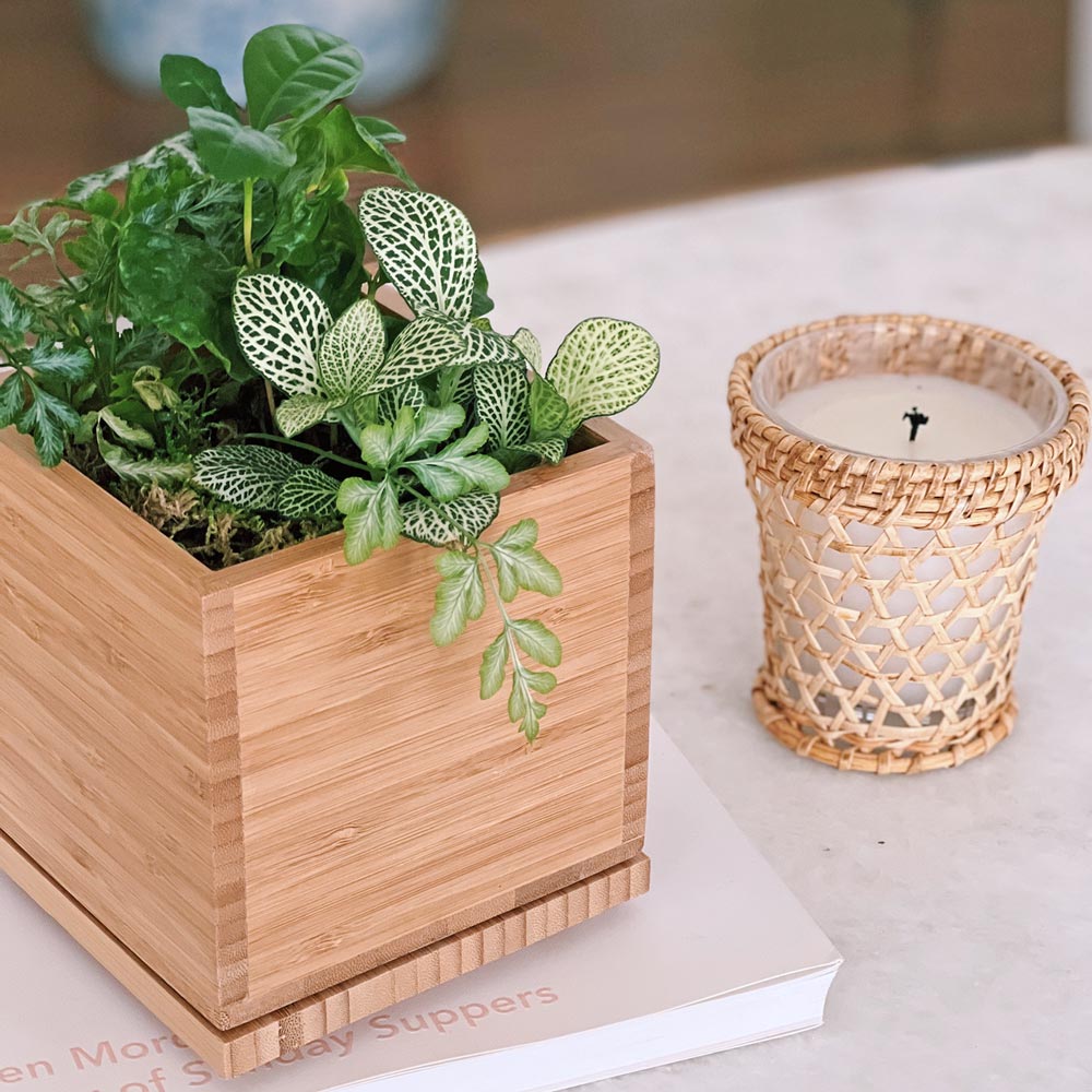 Gardenuity - Indoor Desktop Gardens