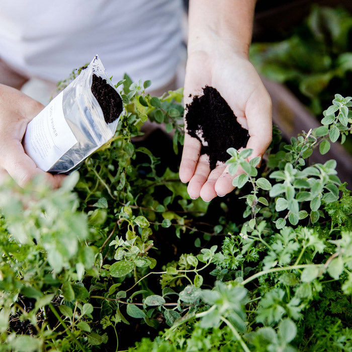 Refresh Kits + Plants – Gardenuity