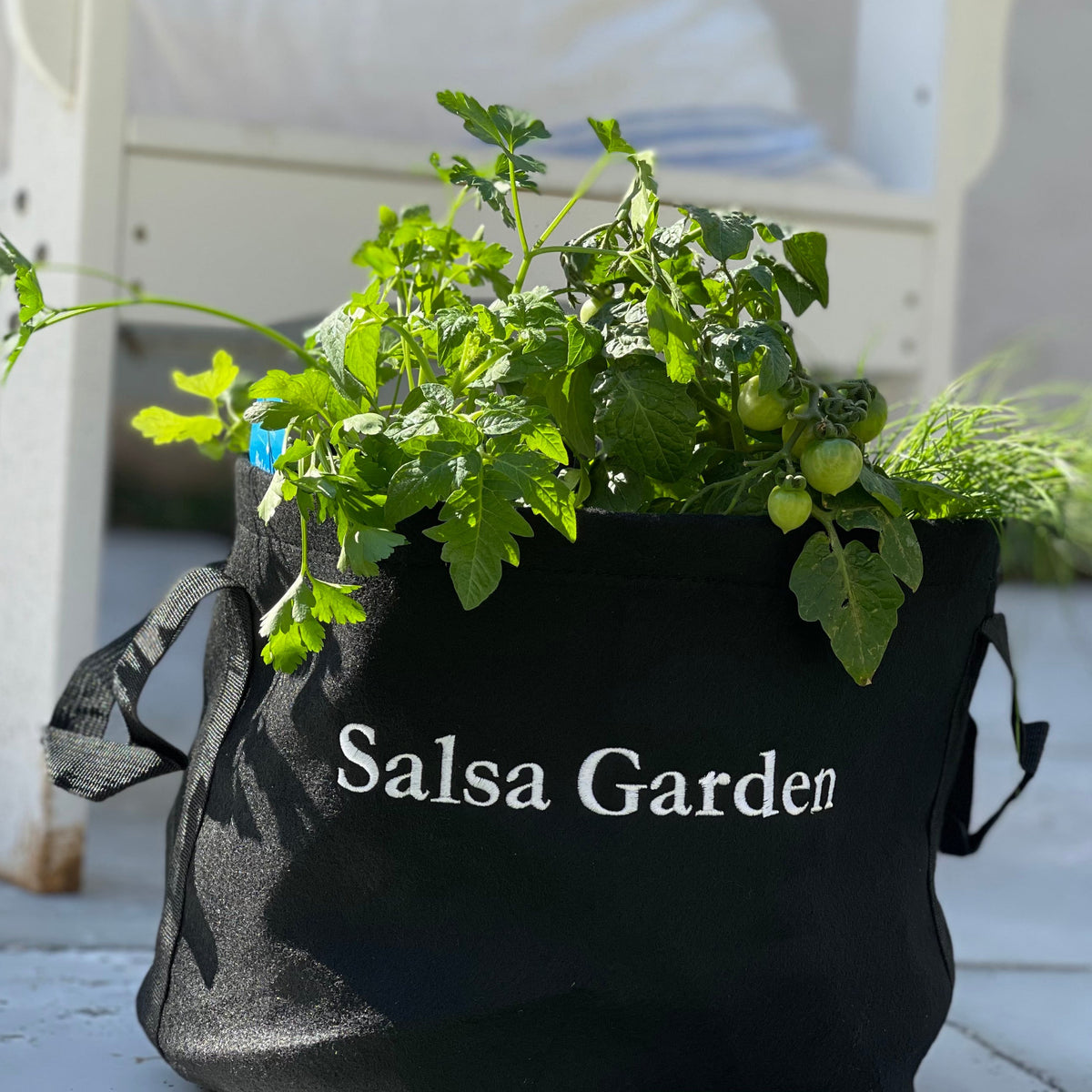 Gardenuity – Salsa Garden Kit with pepper & tomato plants
